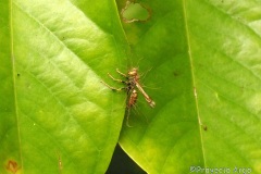 2022: Rumbo a las Islas Encantadas – Ecuador-Islas Galapagos – Proyecto ...